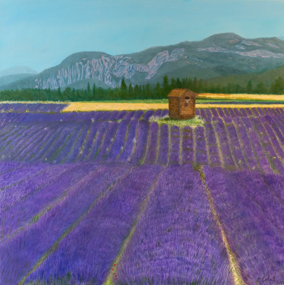 Colart Myriam - Concept Store Gallery